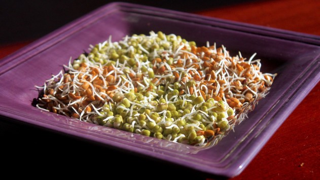 Sprouts - Panacea for Many Ills - Food and Remedy